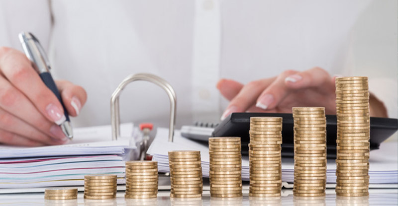 Financial Budget: Definition, Types, Examples